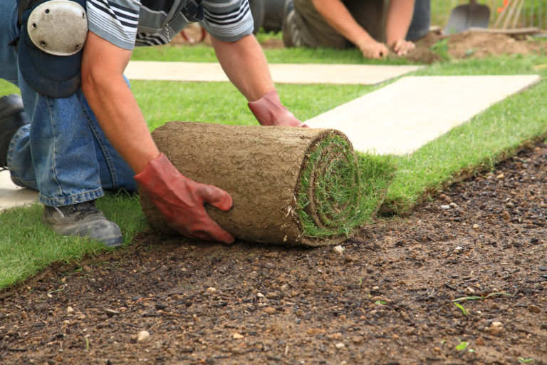 Sod Services LLC – Sod Services LLC