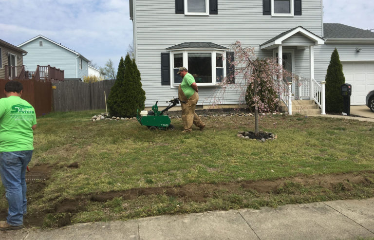Sod Services LLC – Sod Services LLC