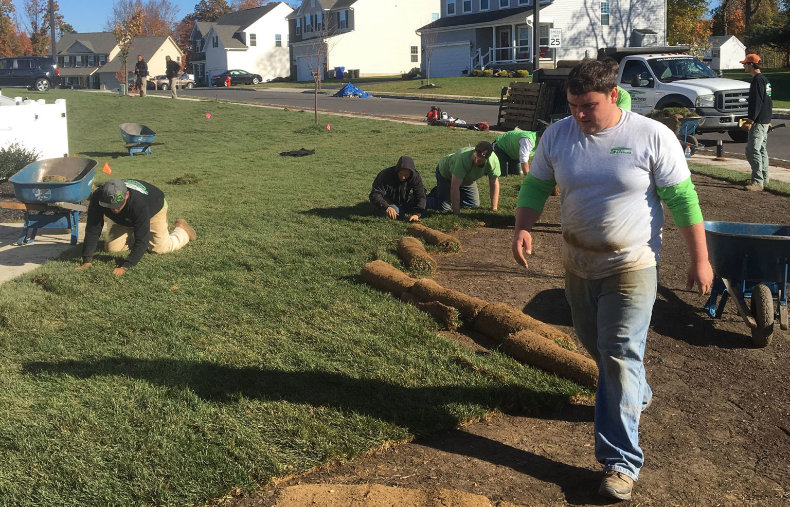 Sod Services LLC – Sod Services LLC