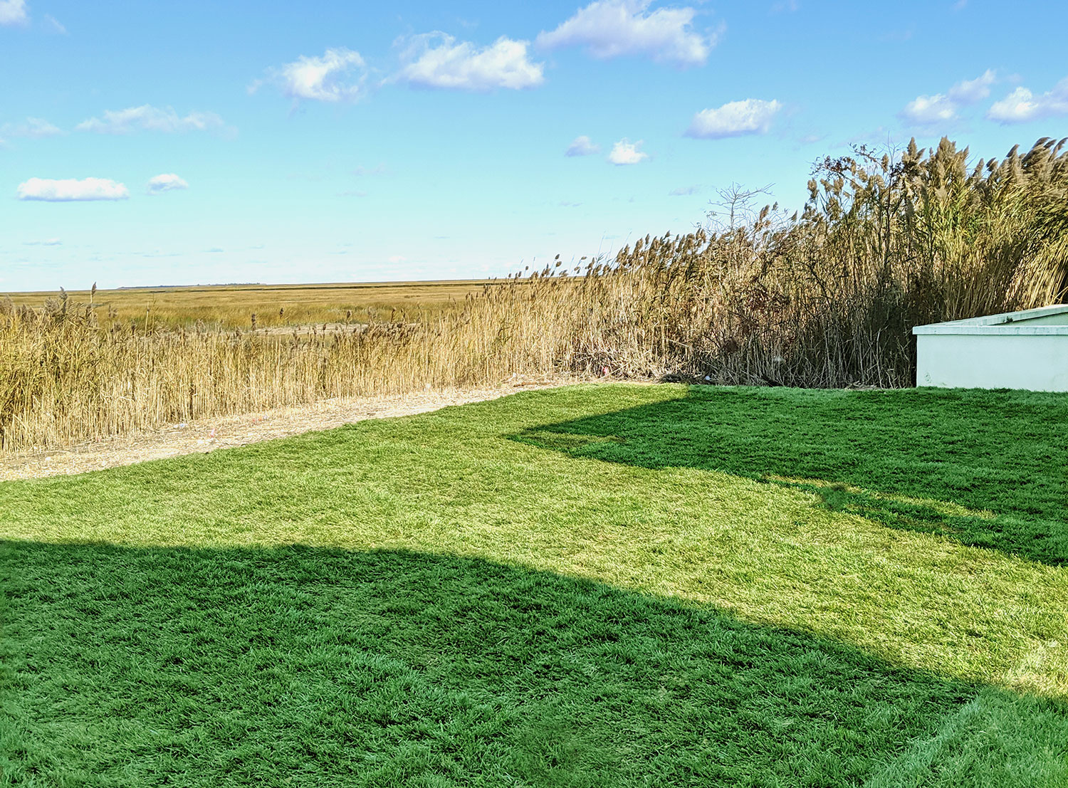 Sod Services LLC – Sod Services LLC